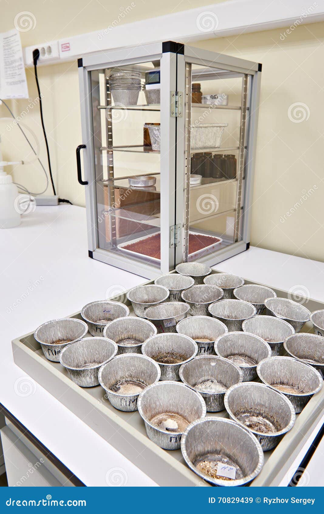 Dry Storage Cabinet with Hygrometer in Biochemical Laboratory Stock ...