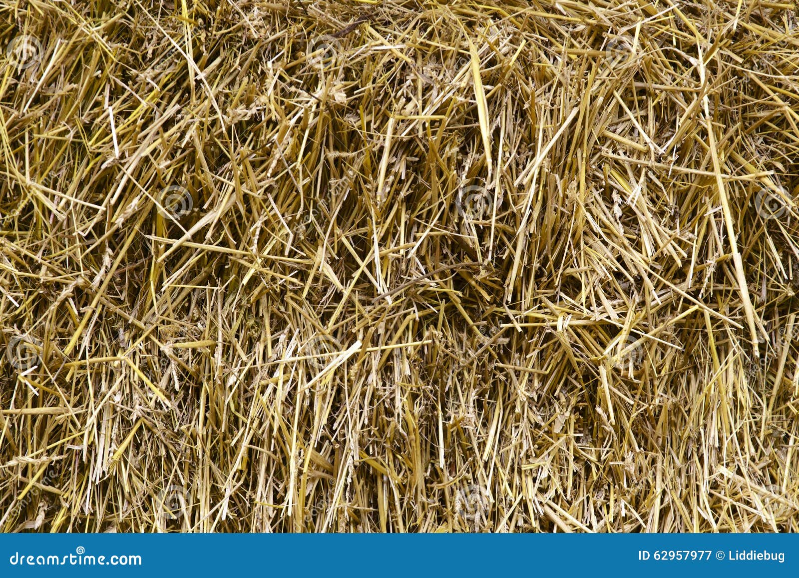 Dry straw background stock image. Image of straw, field - 62957977