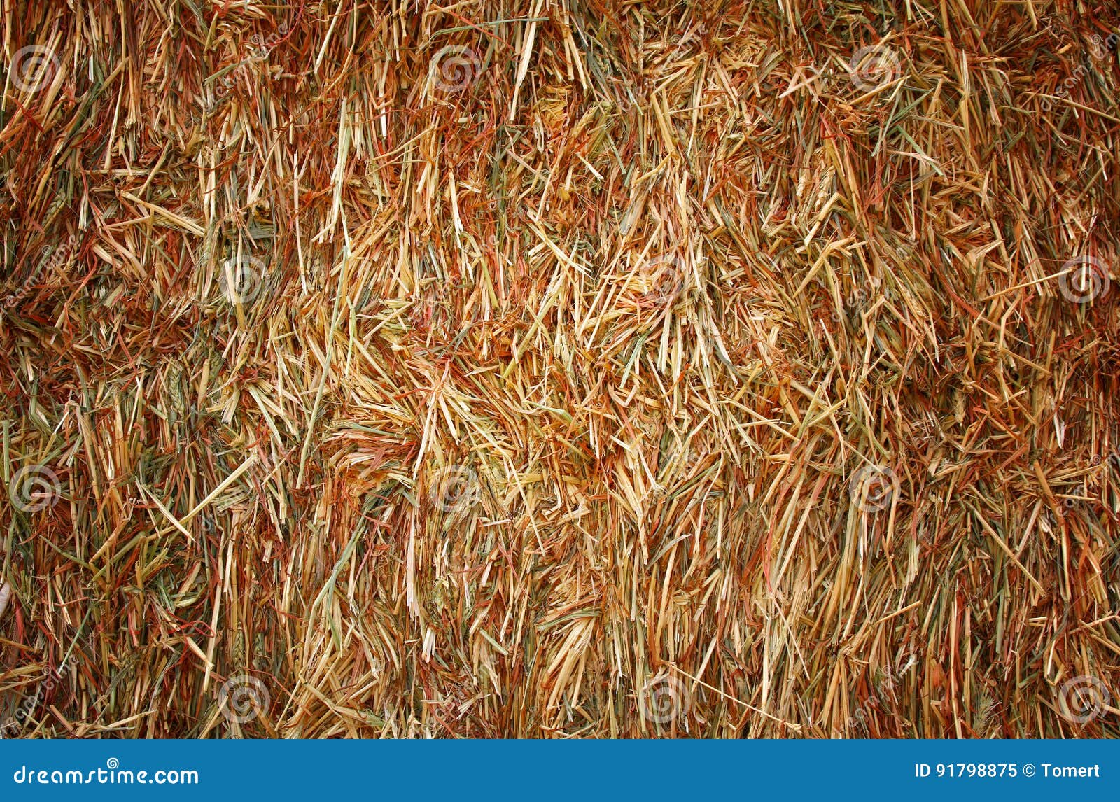 Dry Straw Background Natural Texture. Stock Image - Image of grow ...