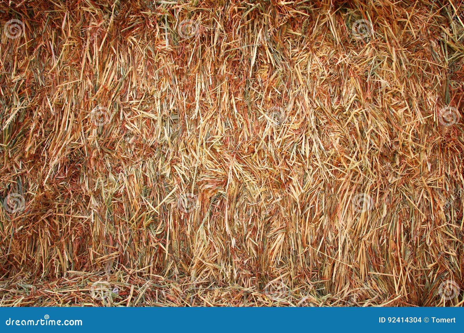 Dry Straw Background Natural Texture. Stock Photo - Image of grain ...