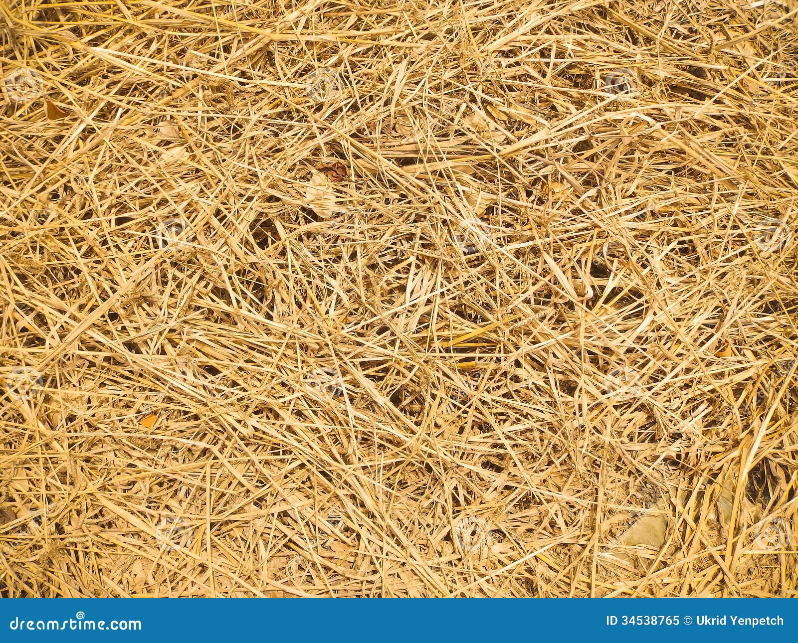 Dry straw, Background stock image. Image of scene, harvesting - 34538765