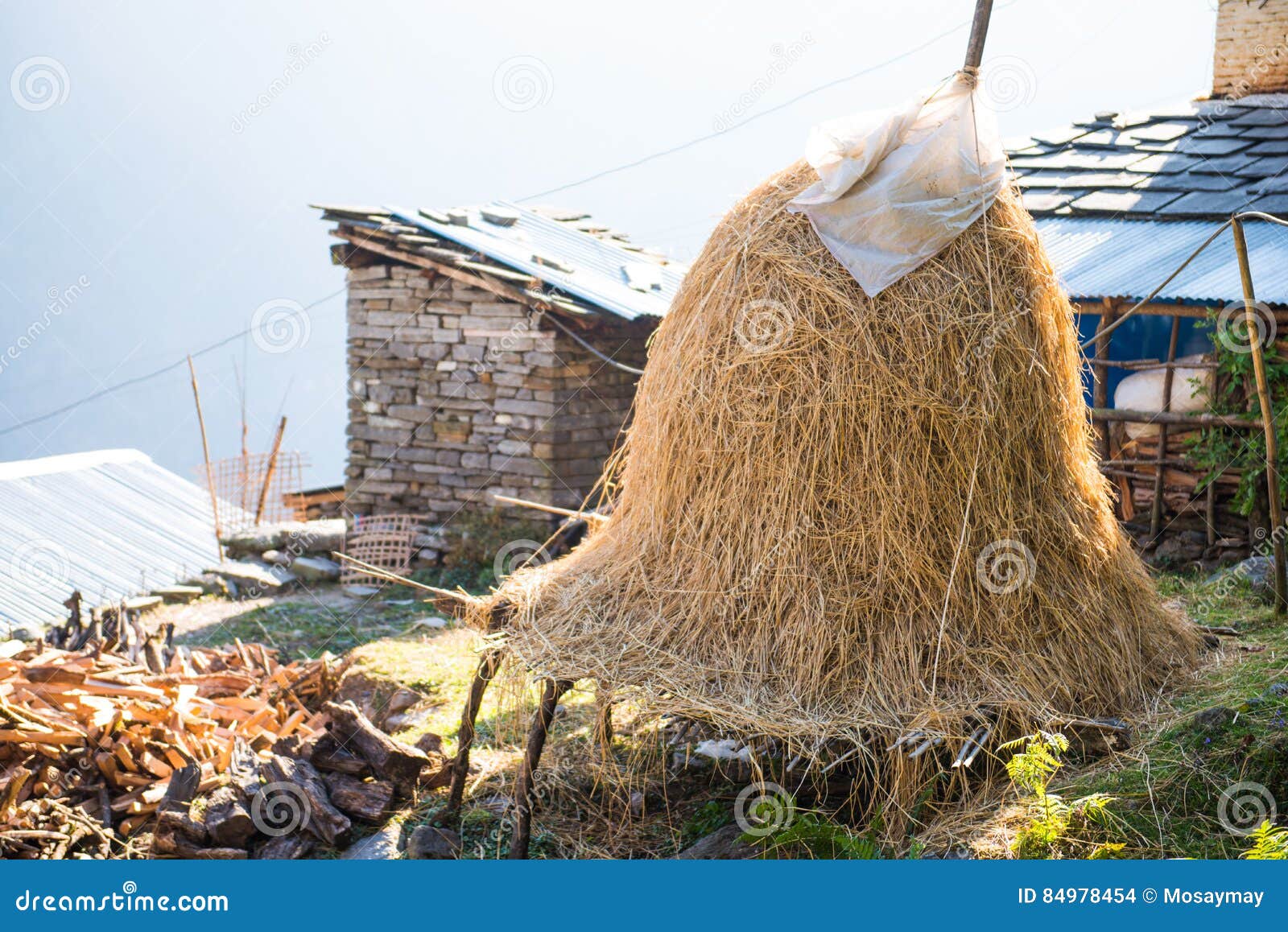 Dry Straw for Feed Animals in Farm Stock Photo - Image of stack, farm ...