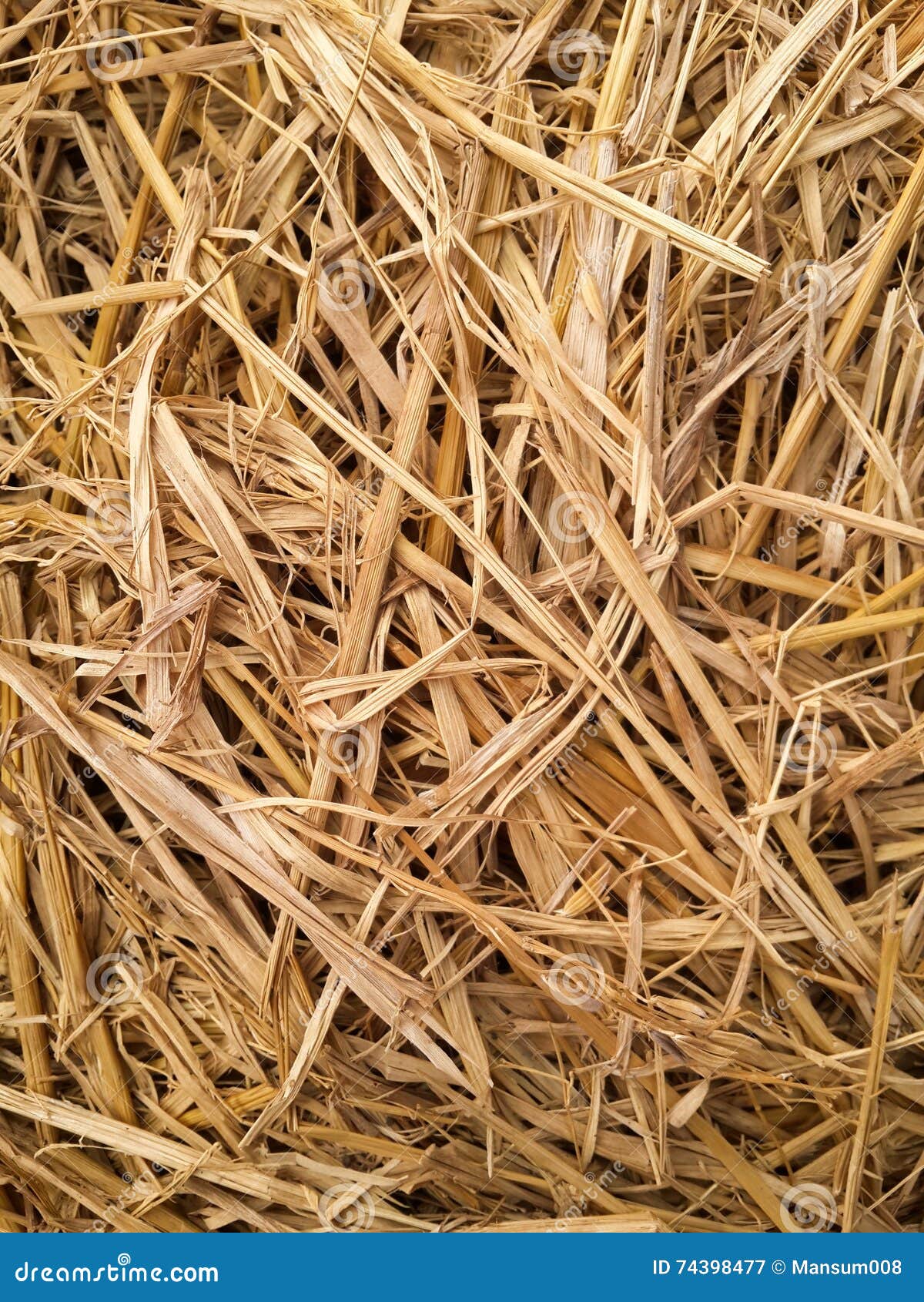 Dry straw stock image. Image of hayrick, nature, scene - 74398477