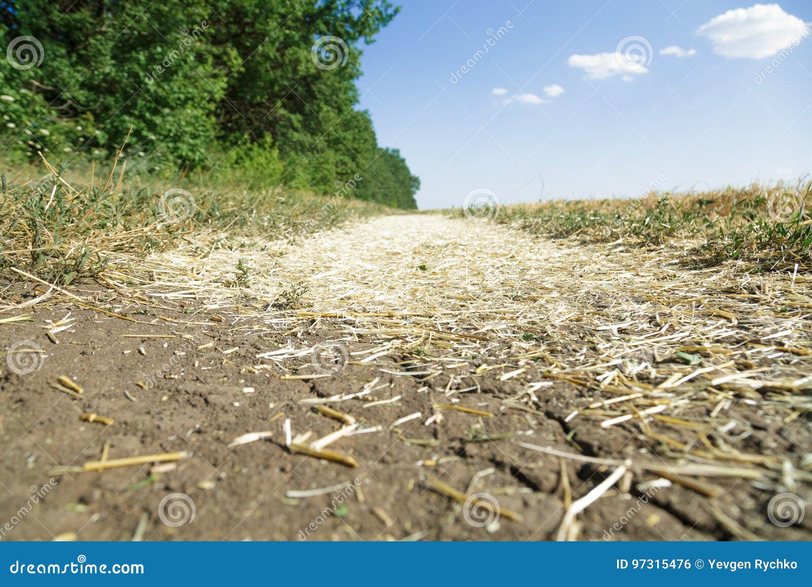 Dry Straw on the Ground Under the Blue Sky Stock Photo - Image of ...
