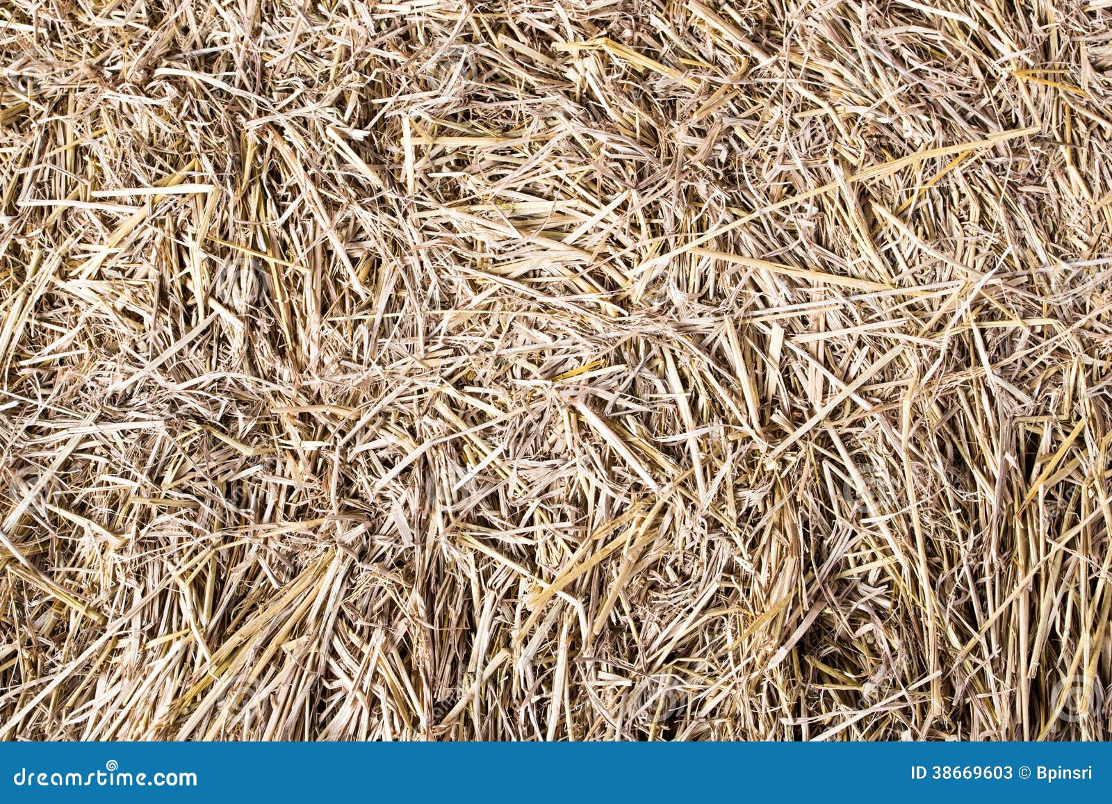 Dry straw stock image. Image of nonurban, copy, rural - 38669603