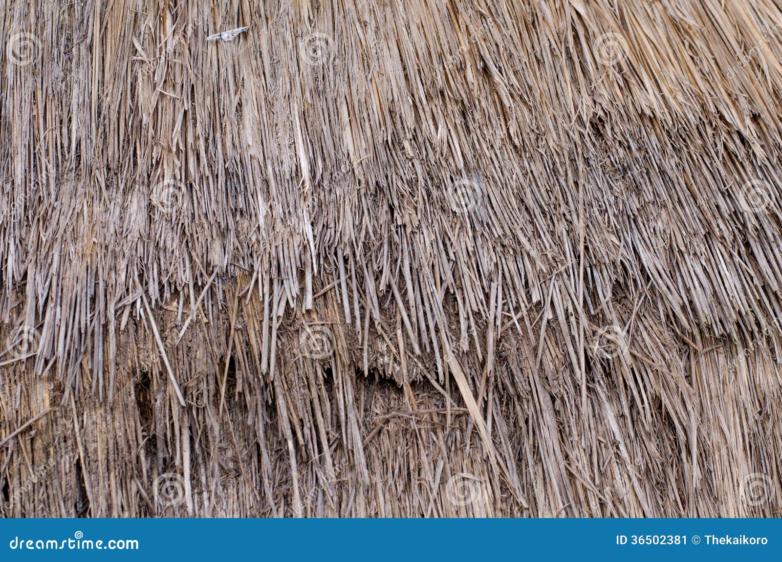 Straw Pattern. Thatched Grass, Roof Or Wall. Straw, Hay Or Dry Grass ...