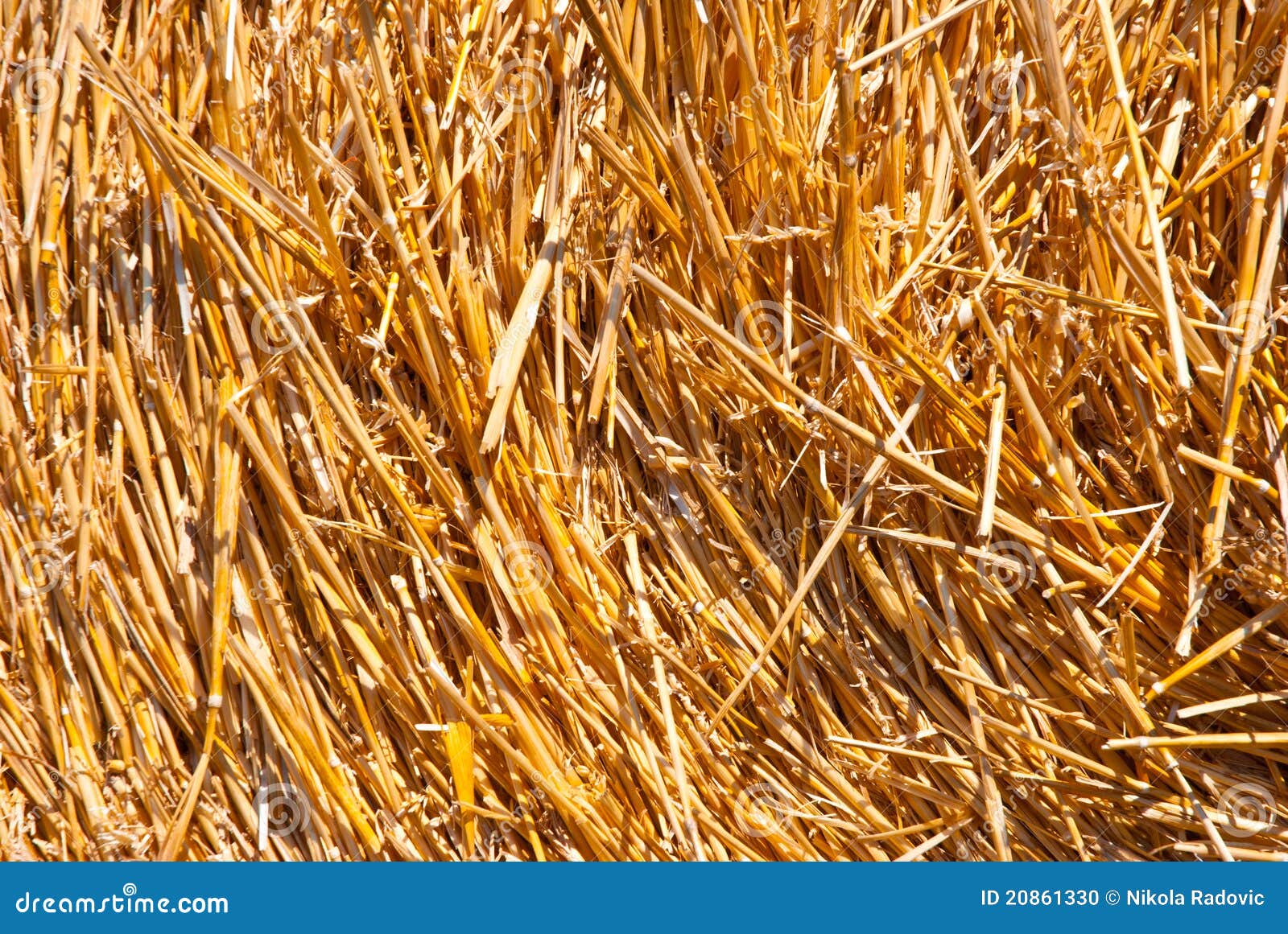 Straw Texture Background Stock Photography | CartoonDealer.com #59158400