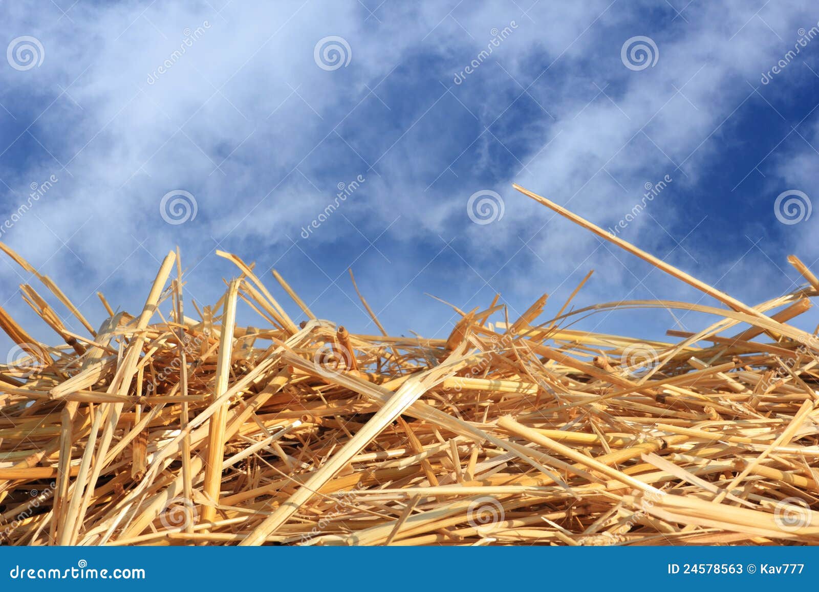 Dry Straw Texture Stock Image | CartoonDealer.com #77796019