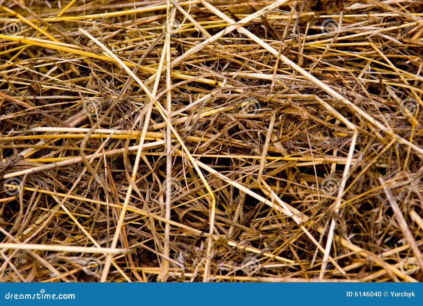 Dry straw texture stock photo. Image of country, rural - 6146040