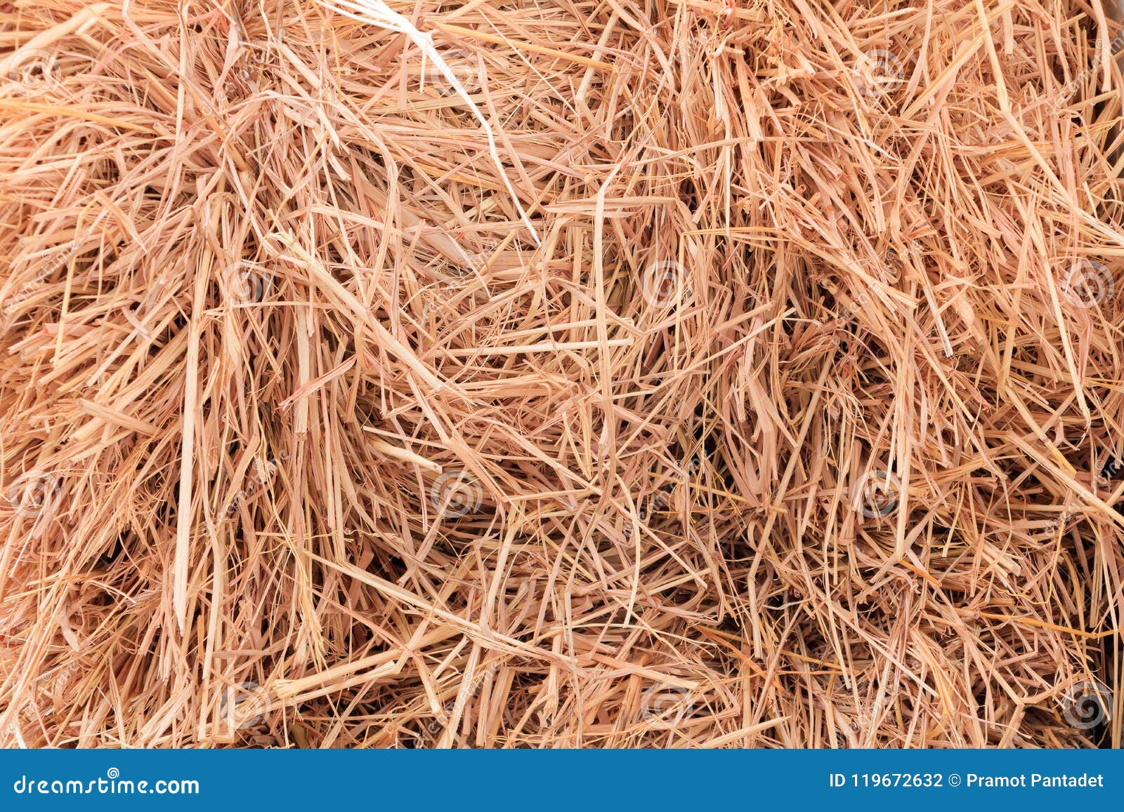 Dry Straw Texture Background with Copy Space Add Text Stock Photo ...