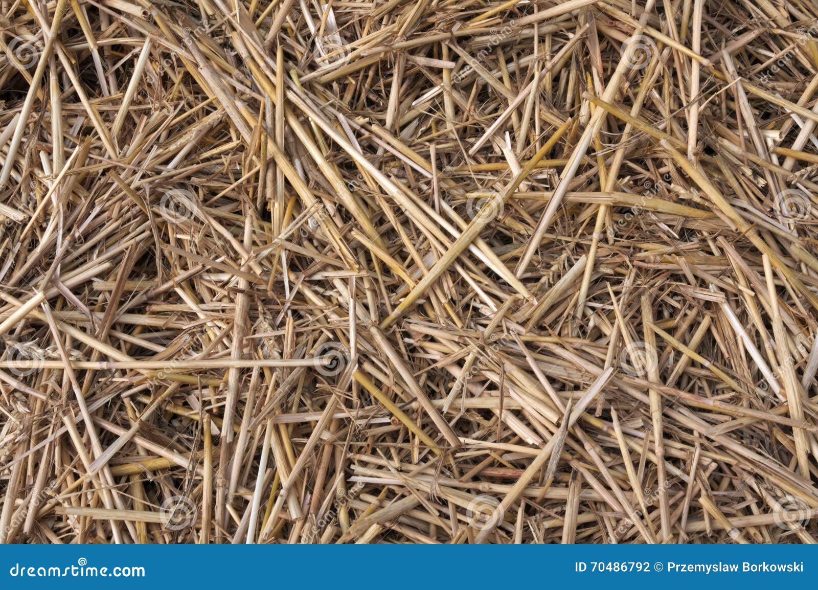 Dry Straw Texture Background Stock Photo - Image of plant, autumn: 70486792