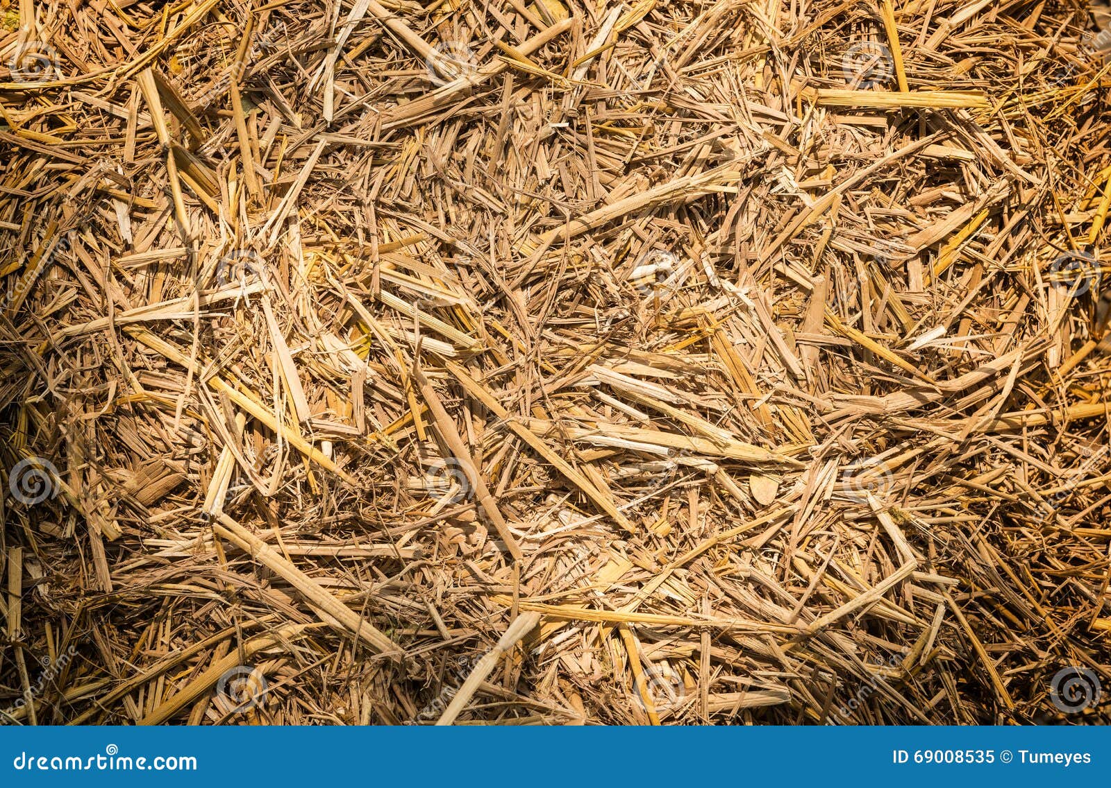 Dry Straw Texture Background Stock Image - Image of harvest, barley ...