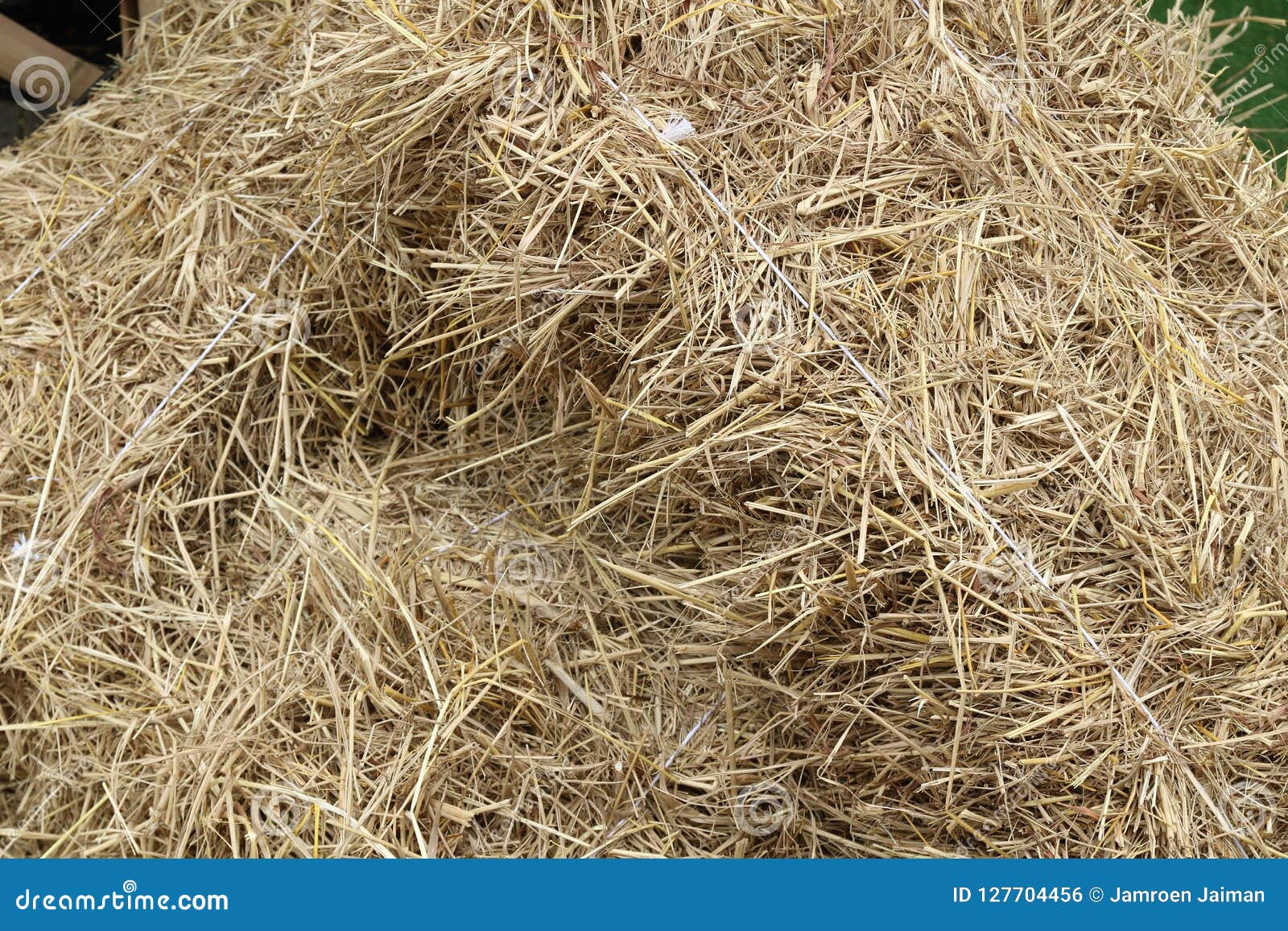 Dry Straw Texture Background, Vintage Style for Design. Stock Photo ...