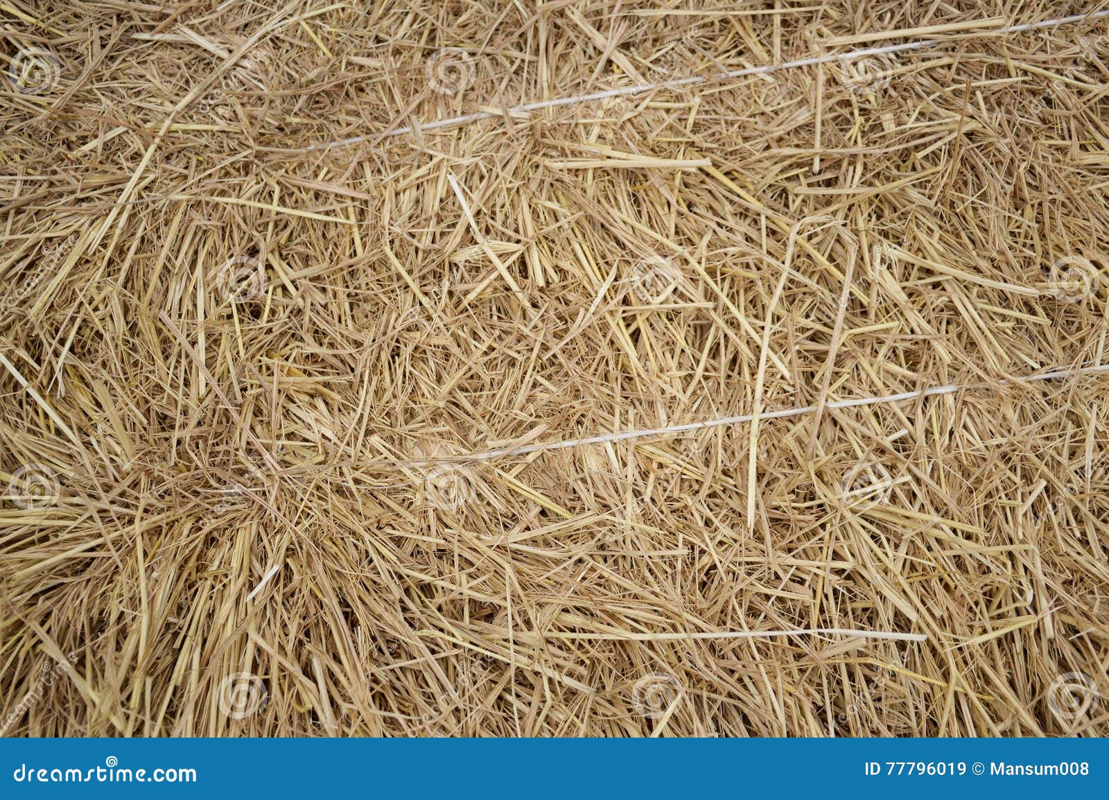 Dry straw texture stock image. Image of rural, nature - 77796019