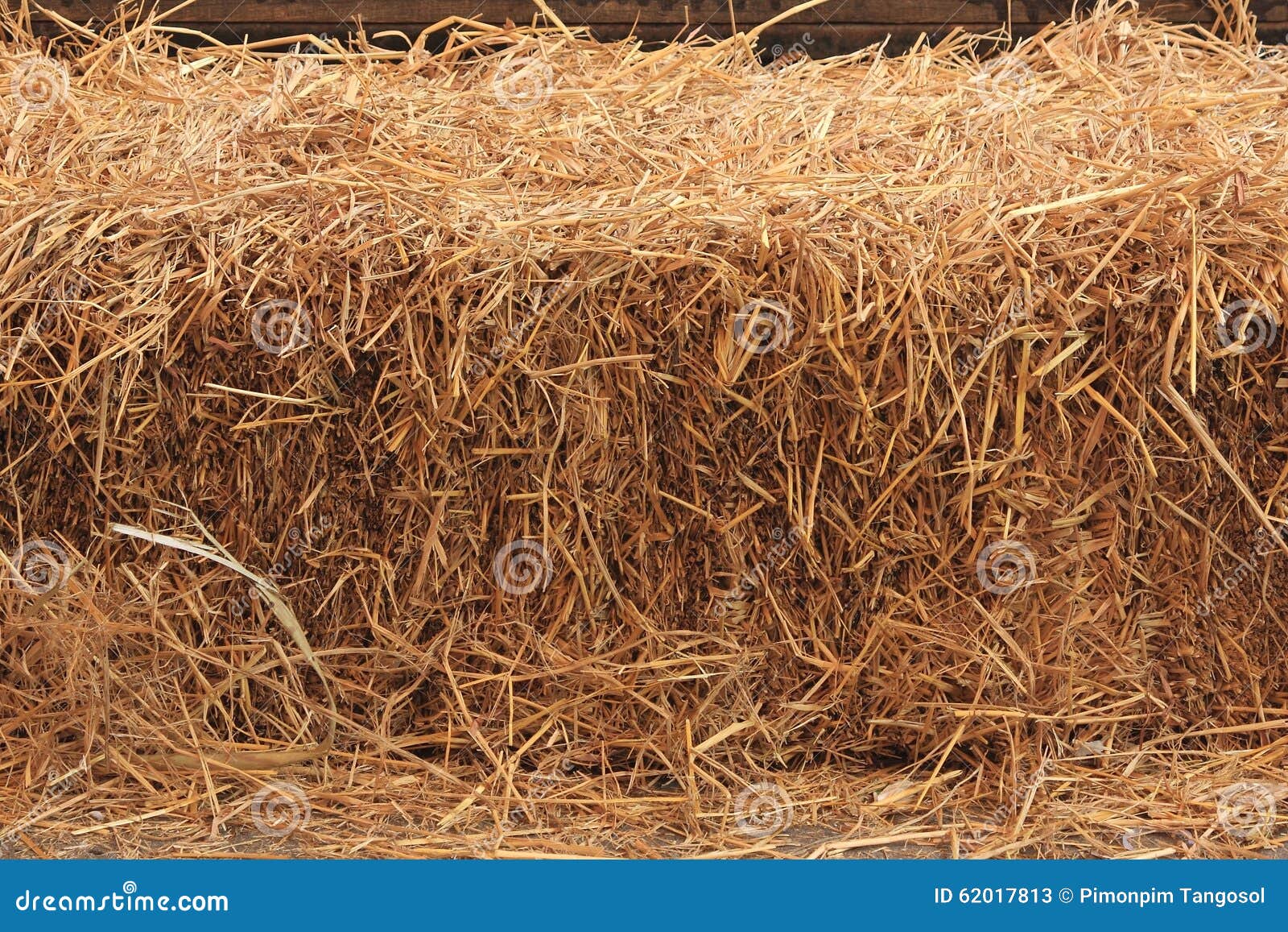 Dry straw texture stock image. Image of closeup, dried - 62017813