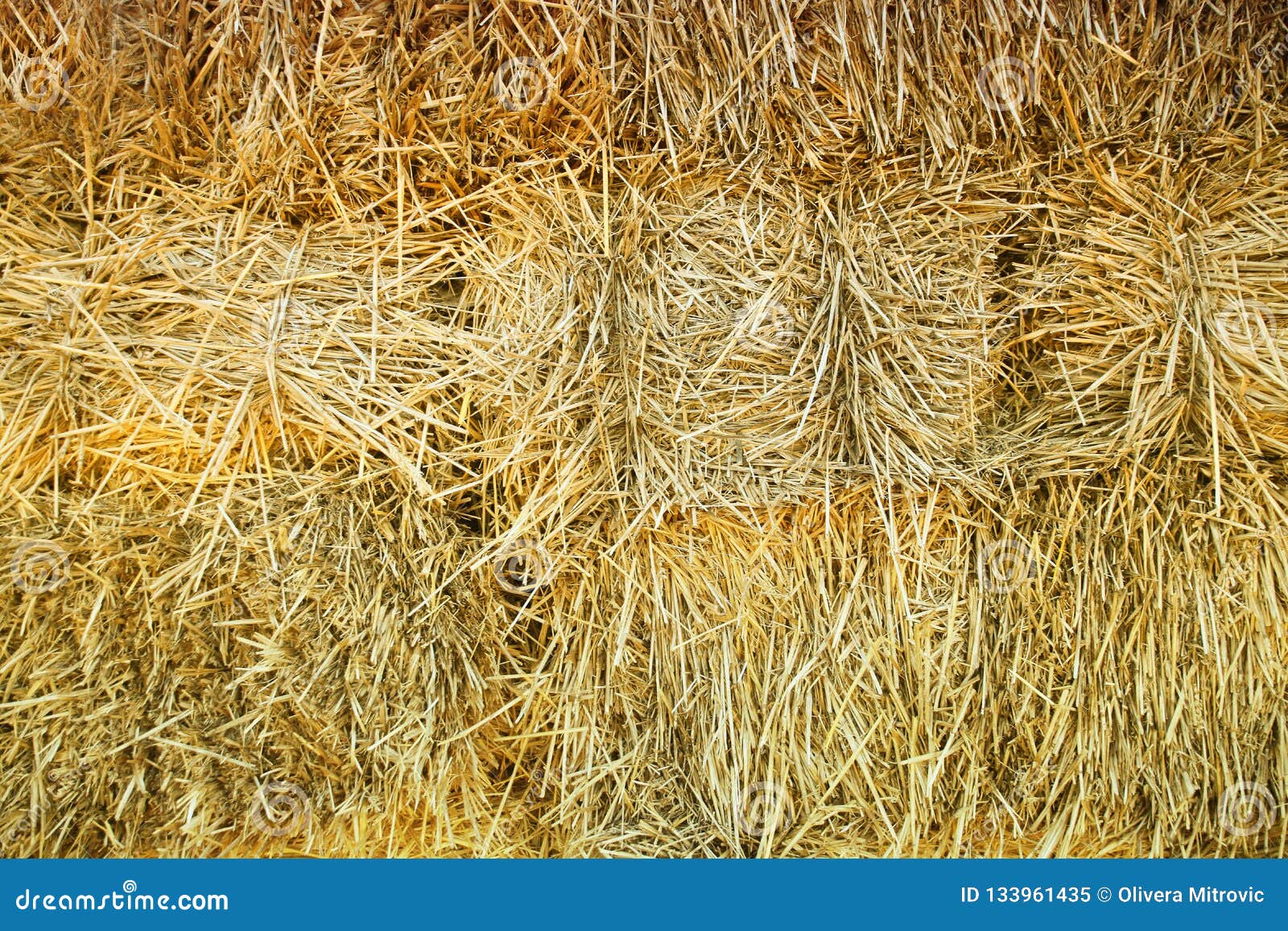 Dry Straw As Texture Background Stock Image - Image of cereal, bale ...