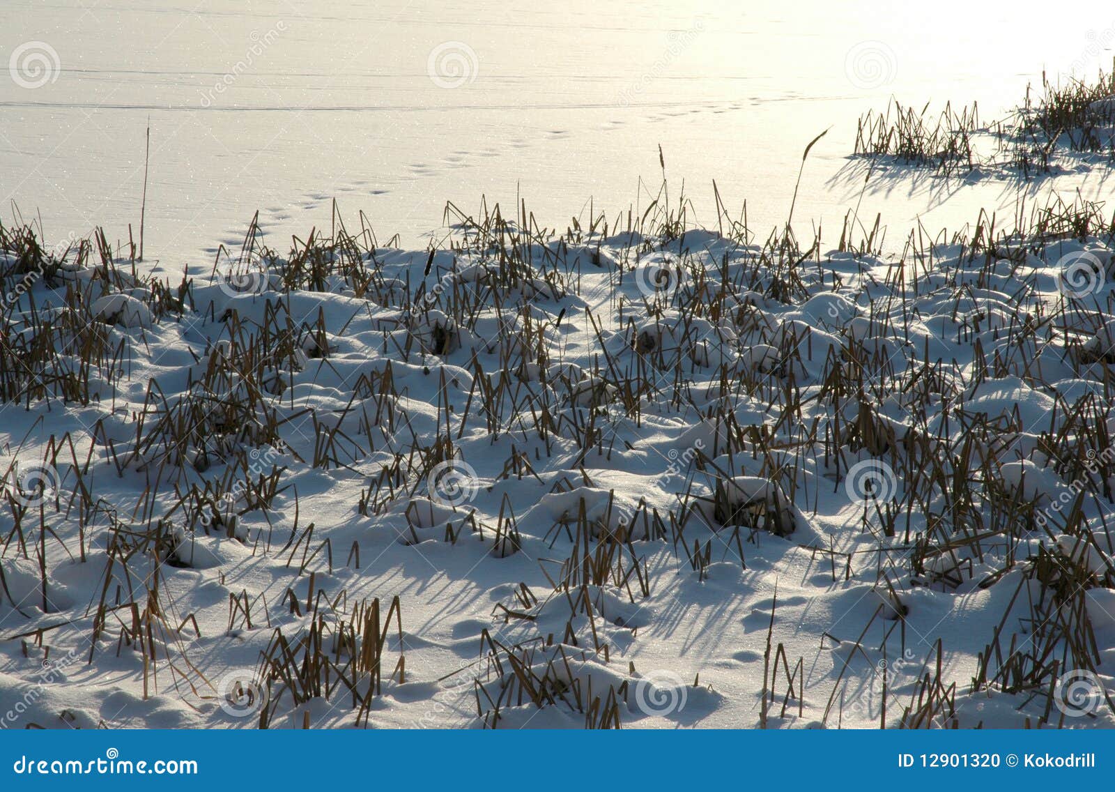 Dry straw at winter stock photo. Image of decorative - 12901320
