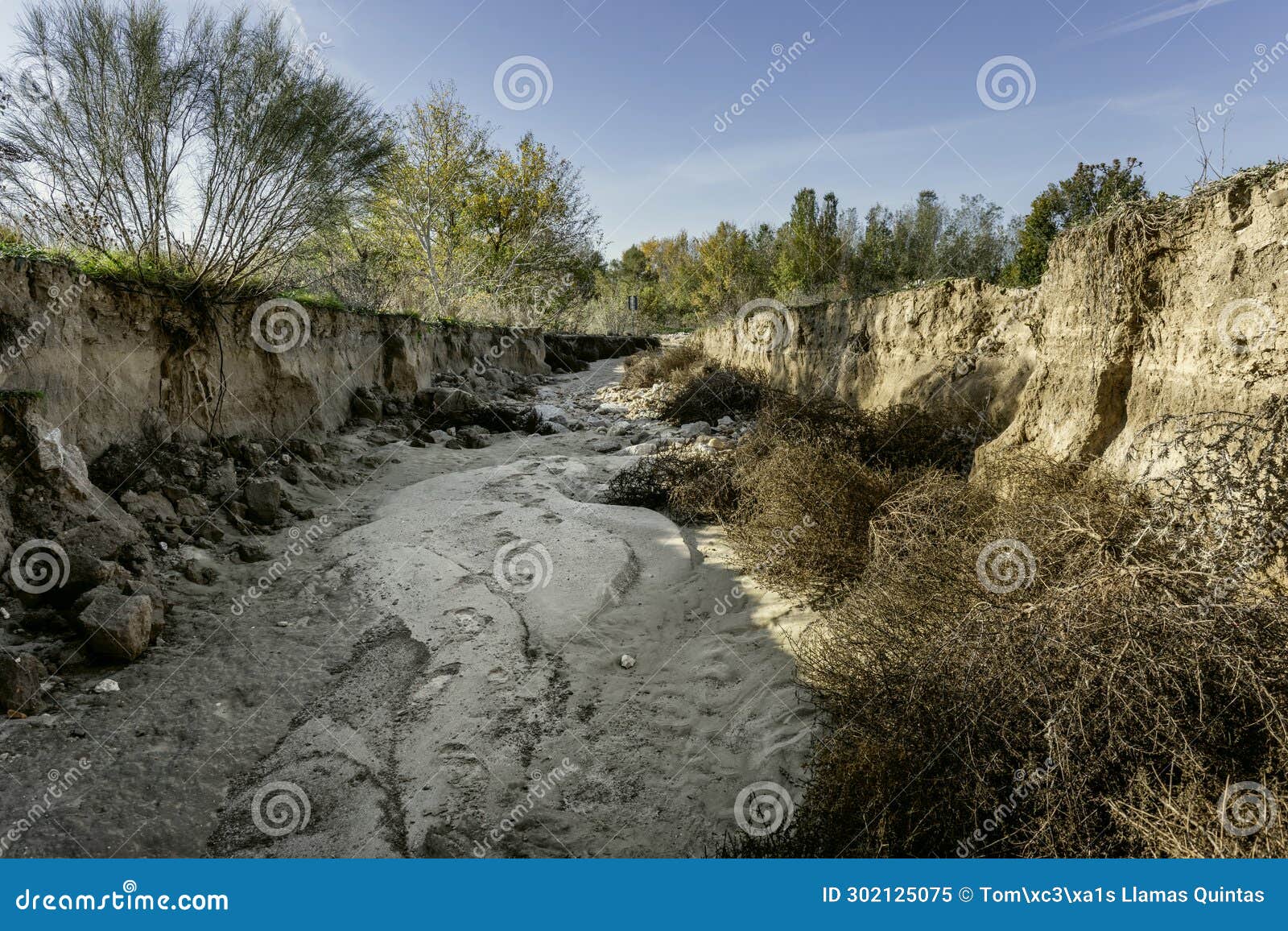Dry Stream Basin with Sand in the Bed, Weeds and Dirt Stock Image ...