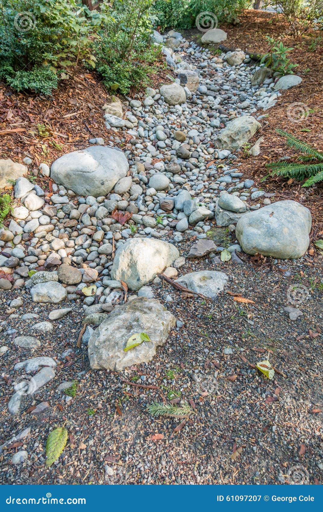 Dry Stream Bed stock image. Image of northwest, bellevue - 61097207