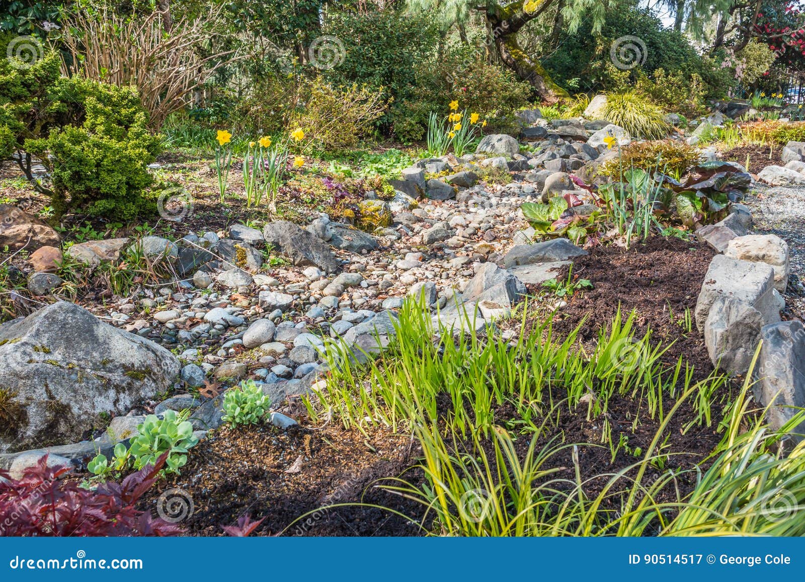 Dry Stream Bed in Spring stock image. Image of outdoors - 90514517
