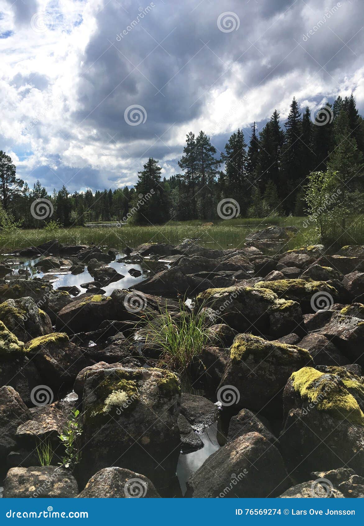 Dry stream stock photo. Image of nature, outdoors, vegatation - 76569274