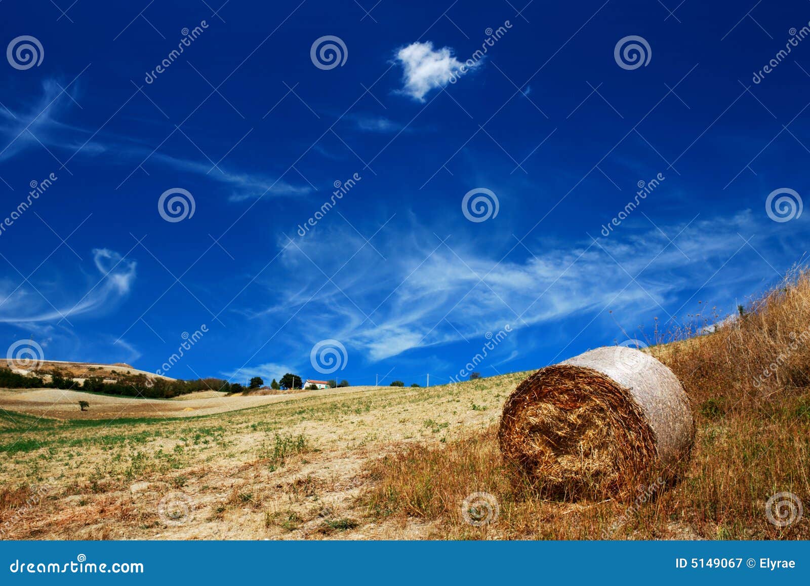 Dry summer stock image. Image of harvest, crop, meadow - 5149067