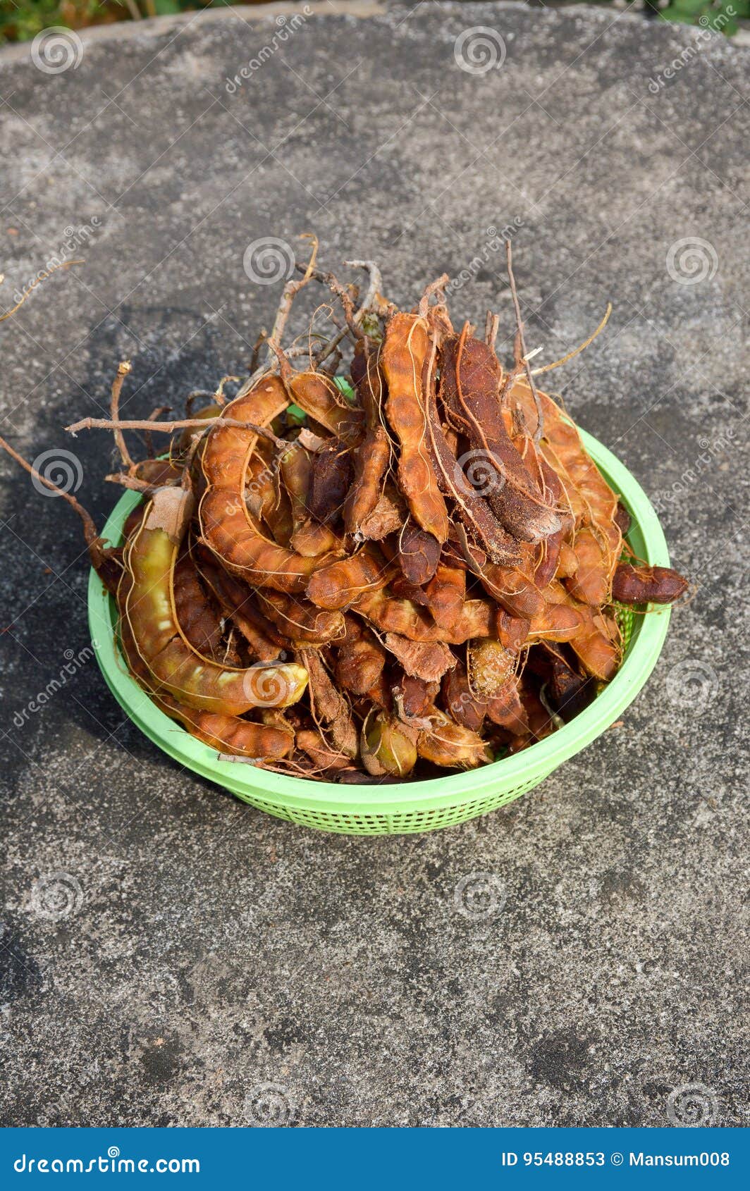Dry tamarind stock image. Image of sweet, tamarind, fresh - 95488853