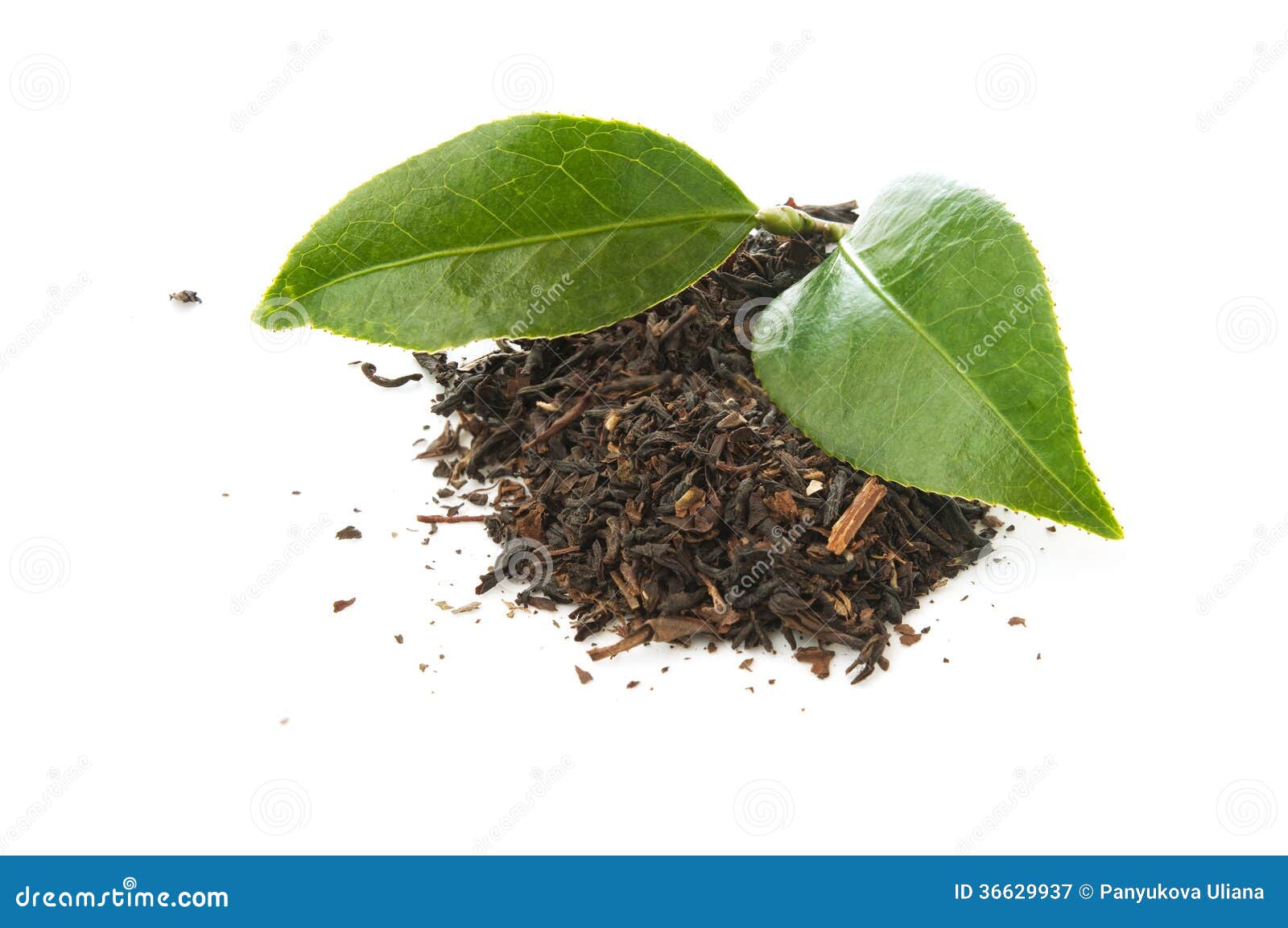 Dry tea leaves stock image. Image of macro, fresh, antioxidant - 36629937