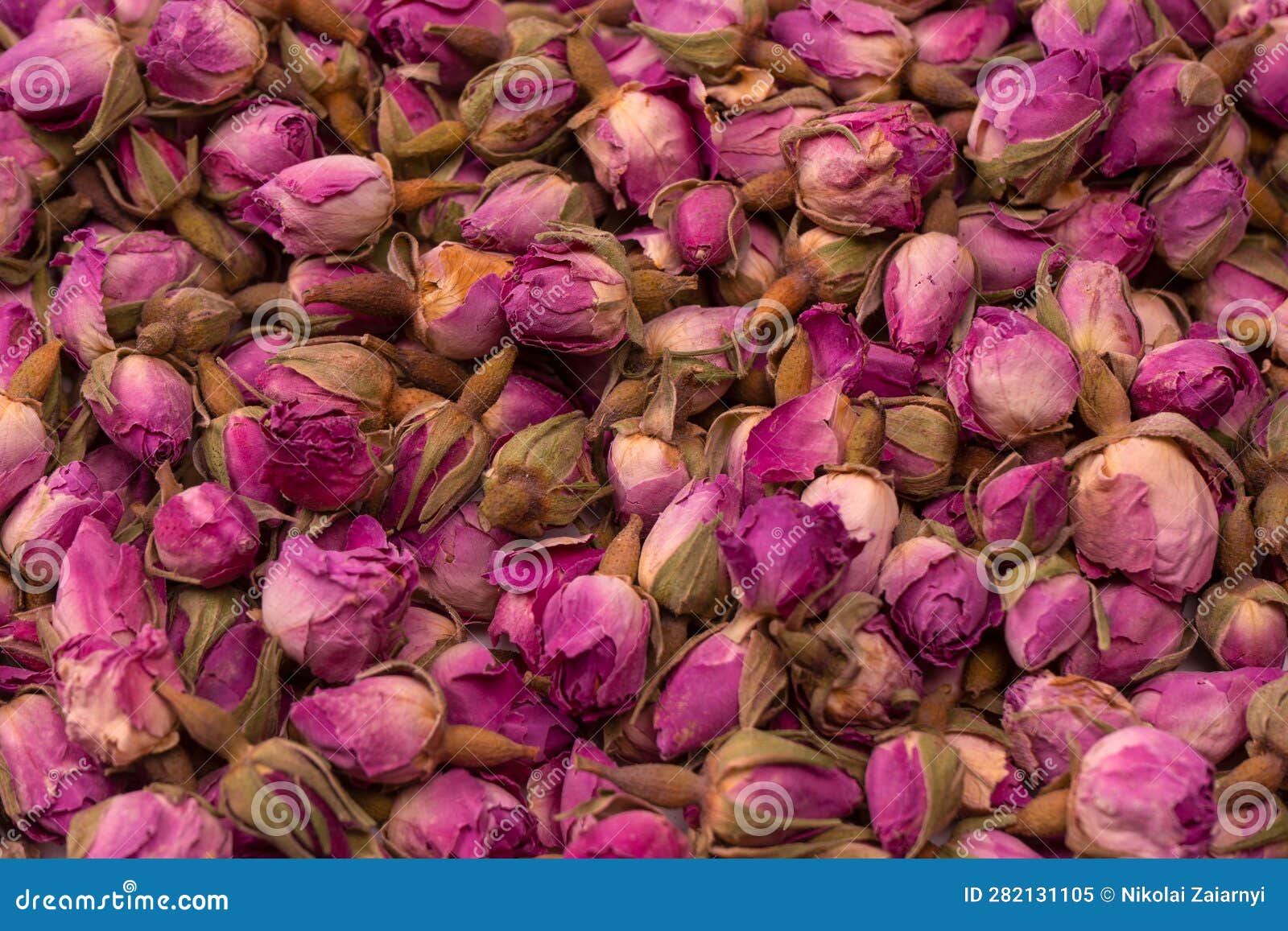 Dry Tea Roses Isolated on White Background Stock Image - Image of ...