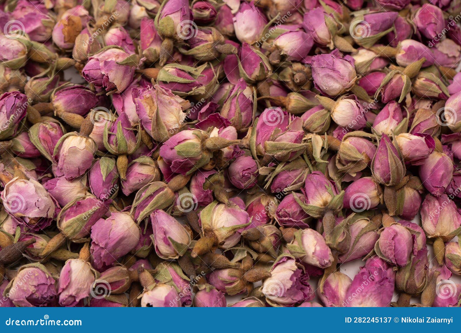 Dry Tea Roses Isolated on White Background Stock Image - Image of ...