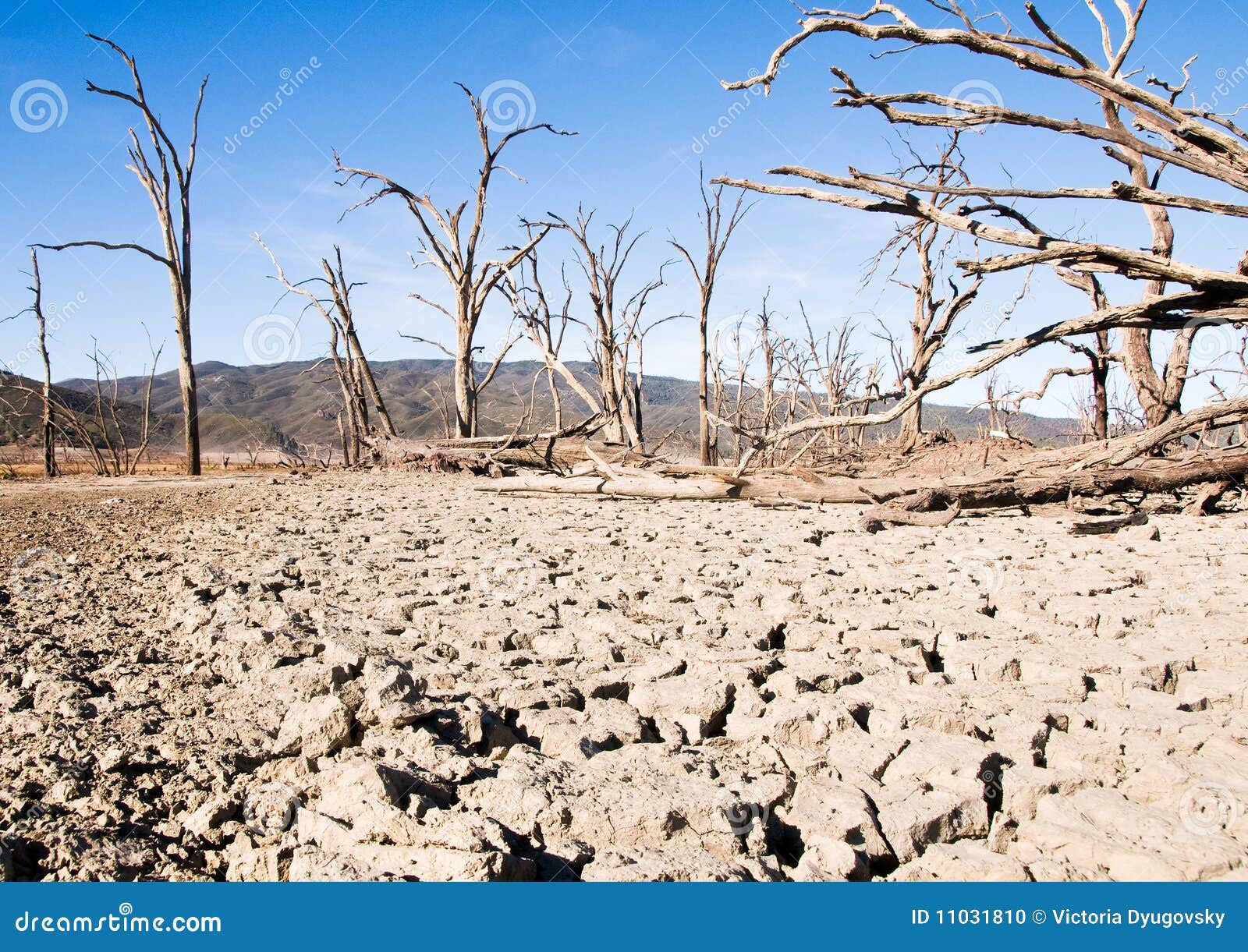 Dry terrain stock photo. Image of earth, ground, drain - 11031810