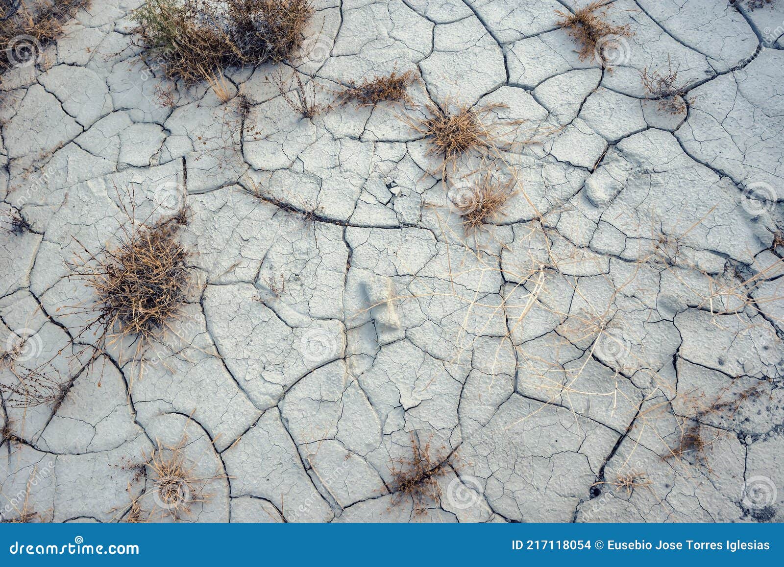 Dry terrain in the desert stock photo. Image of dried - 217118054