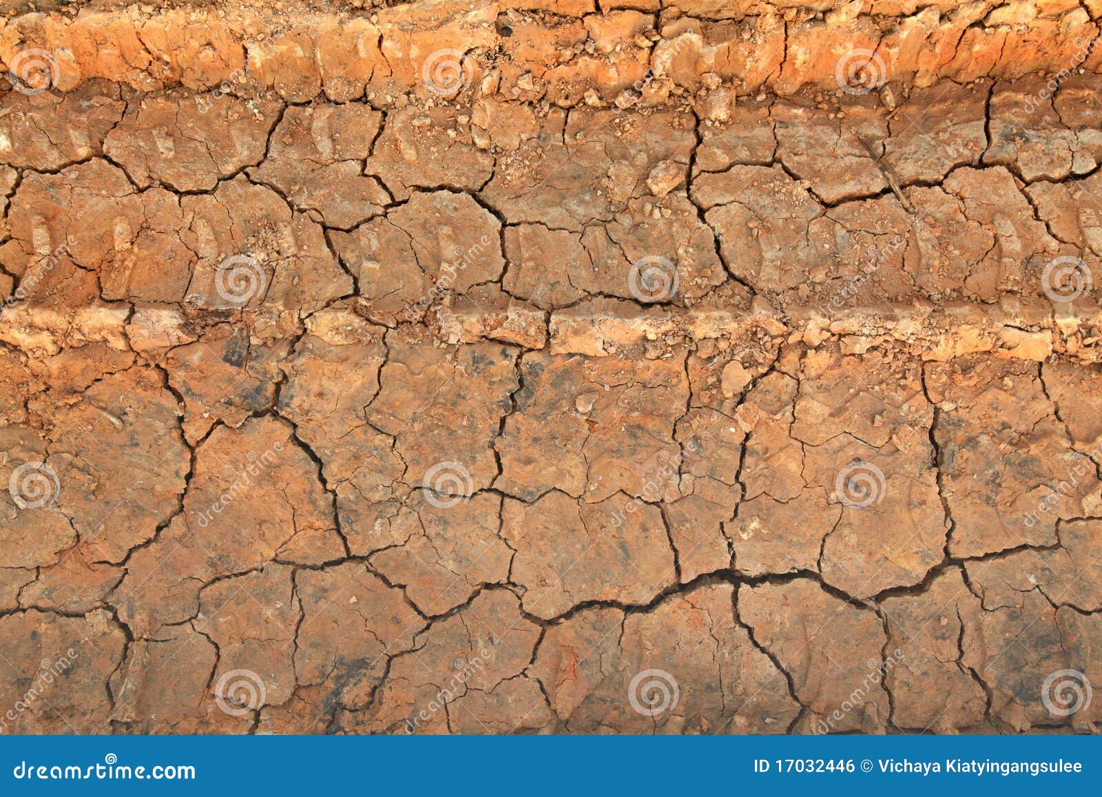 Dry terrain ground stock photo. Image of environment - 17032446