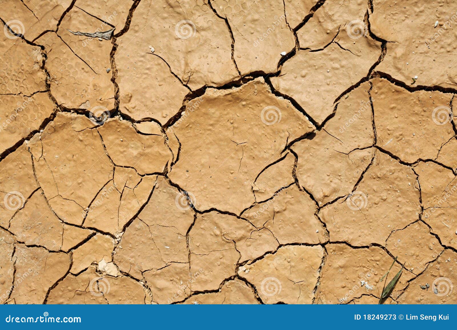 Dry texture stock image. Image of dust, soil, cracked - 18249273