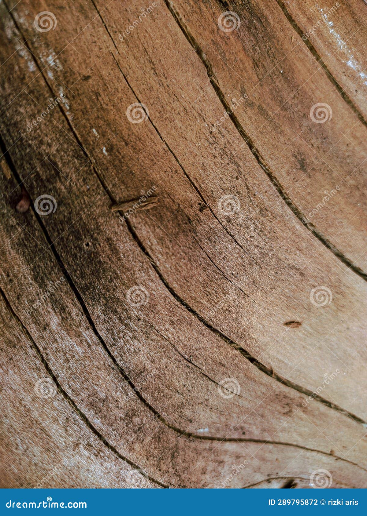 The Dry, Textured Surface of the Tree Forms Lines Stock Photo - Image ...