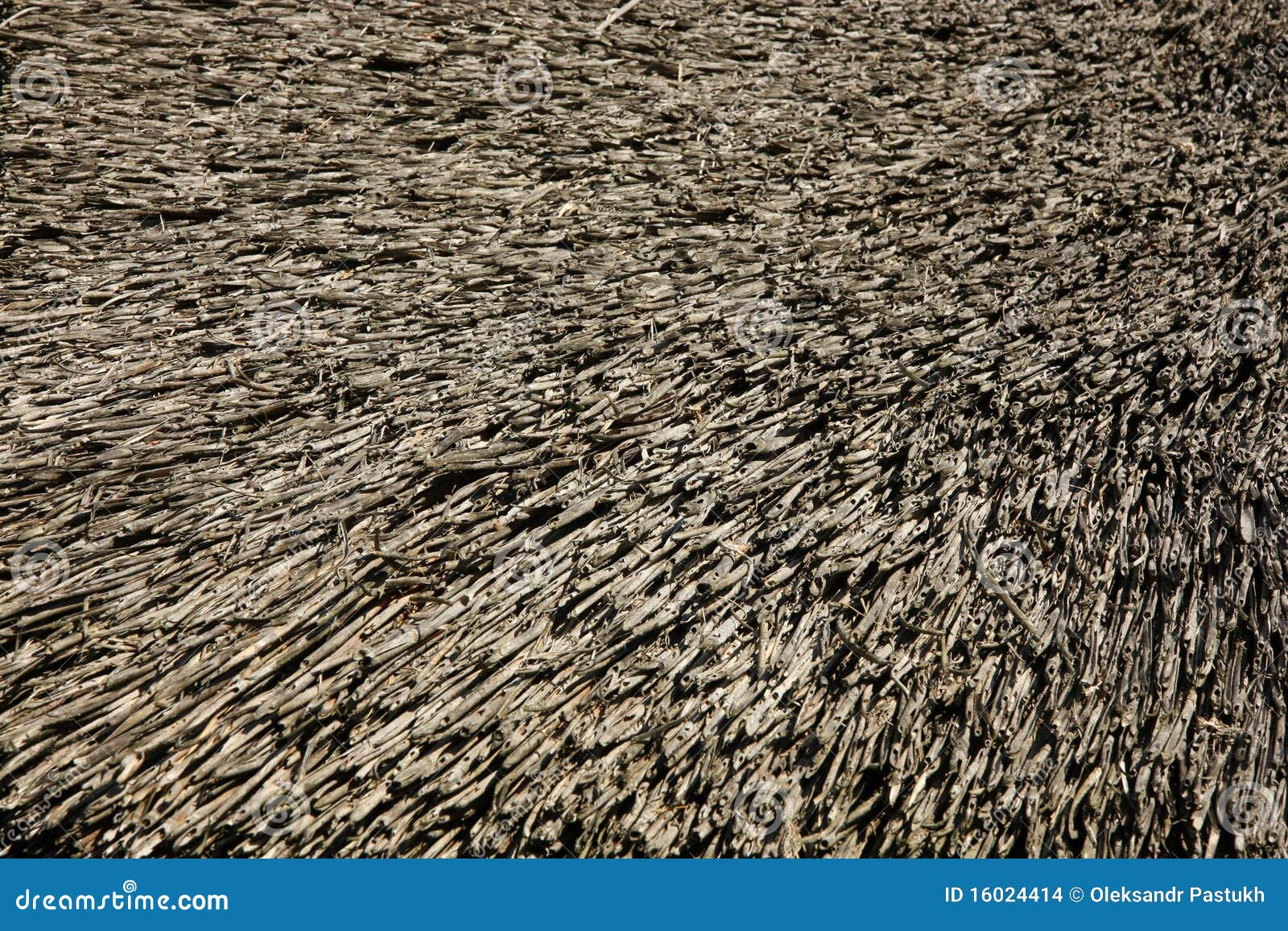 Dry thatch stock photo. Image of reed, rough, material - 16024414