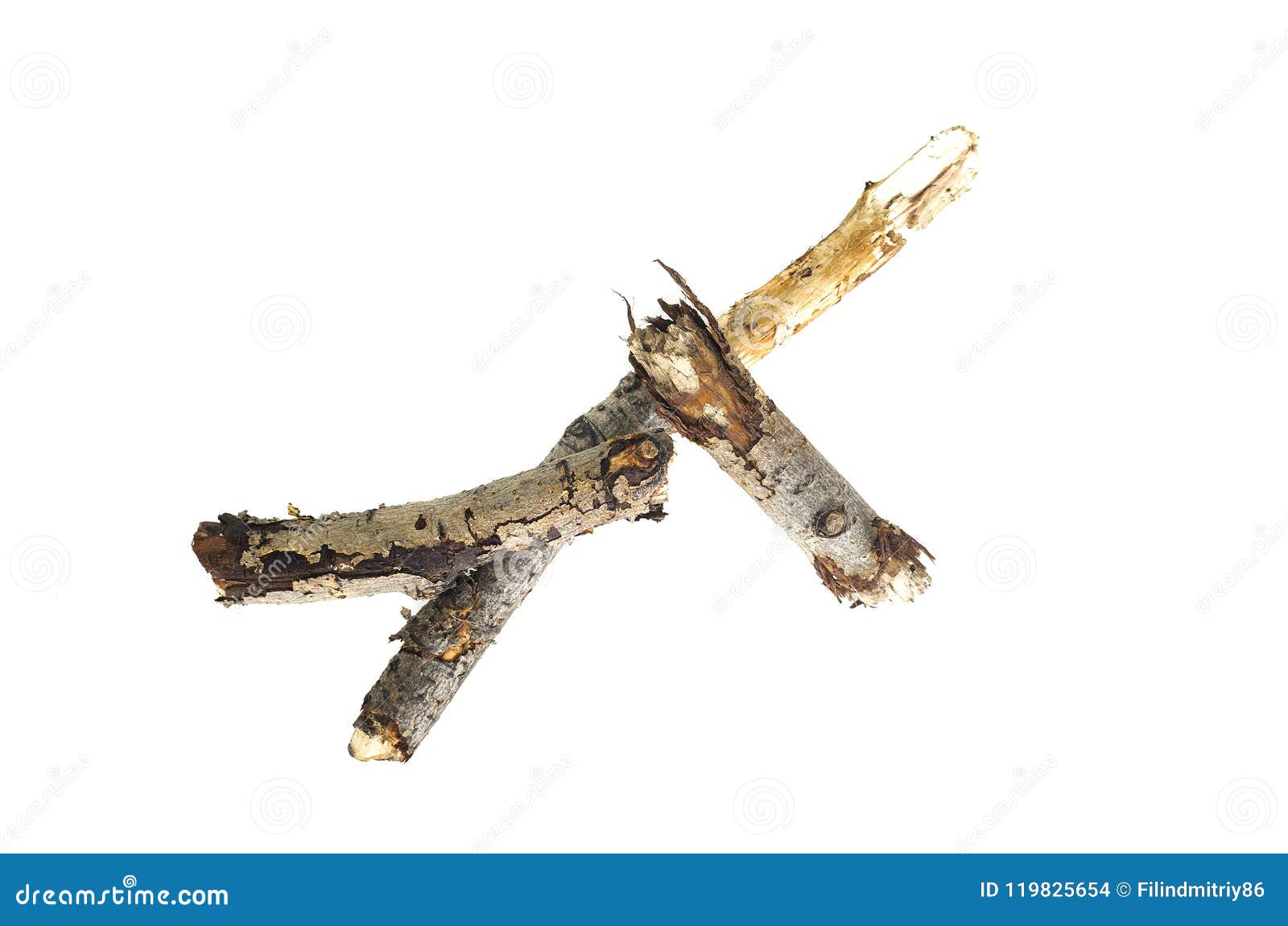 Dry tree branch. stock photo. Image of dried, plant - 119825654
