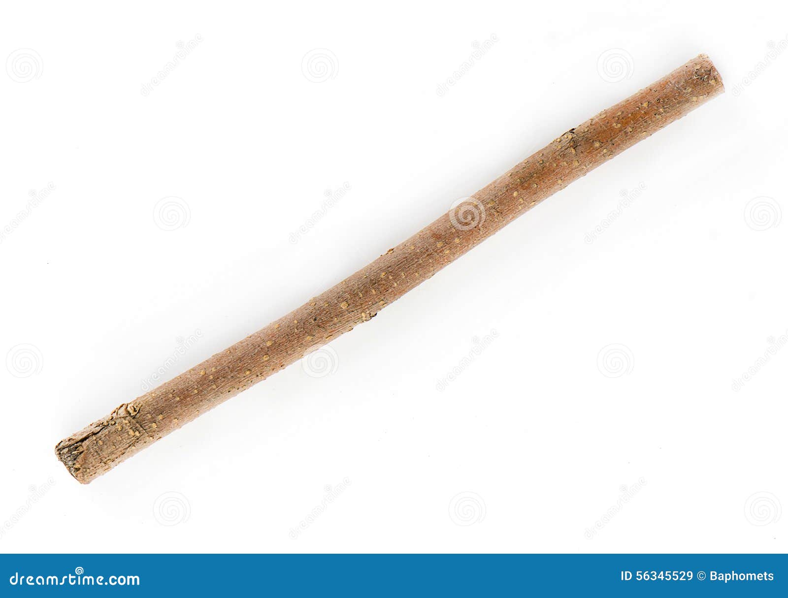 Dry Tree Branch Isolated on White Background Stock Image - Image of ...