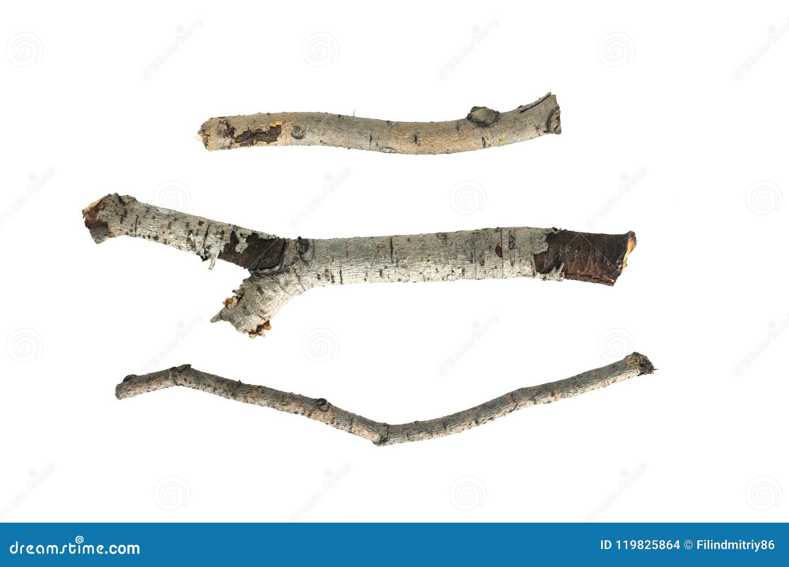 Dry tree branch. stock photo. Image of natural, item - 119825864