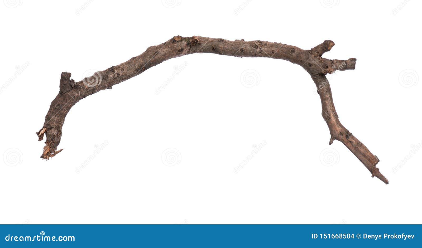 Wooden Stick Branch