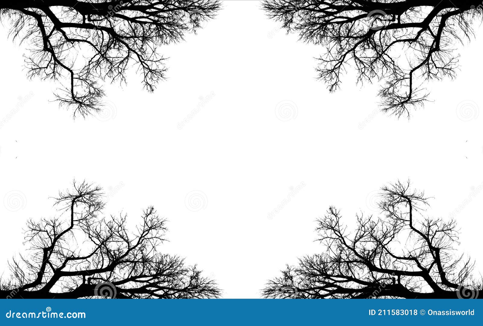 Dry Tree Branches Abstract on White Background Stock Photo - Image of ...