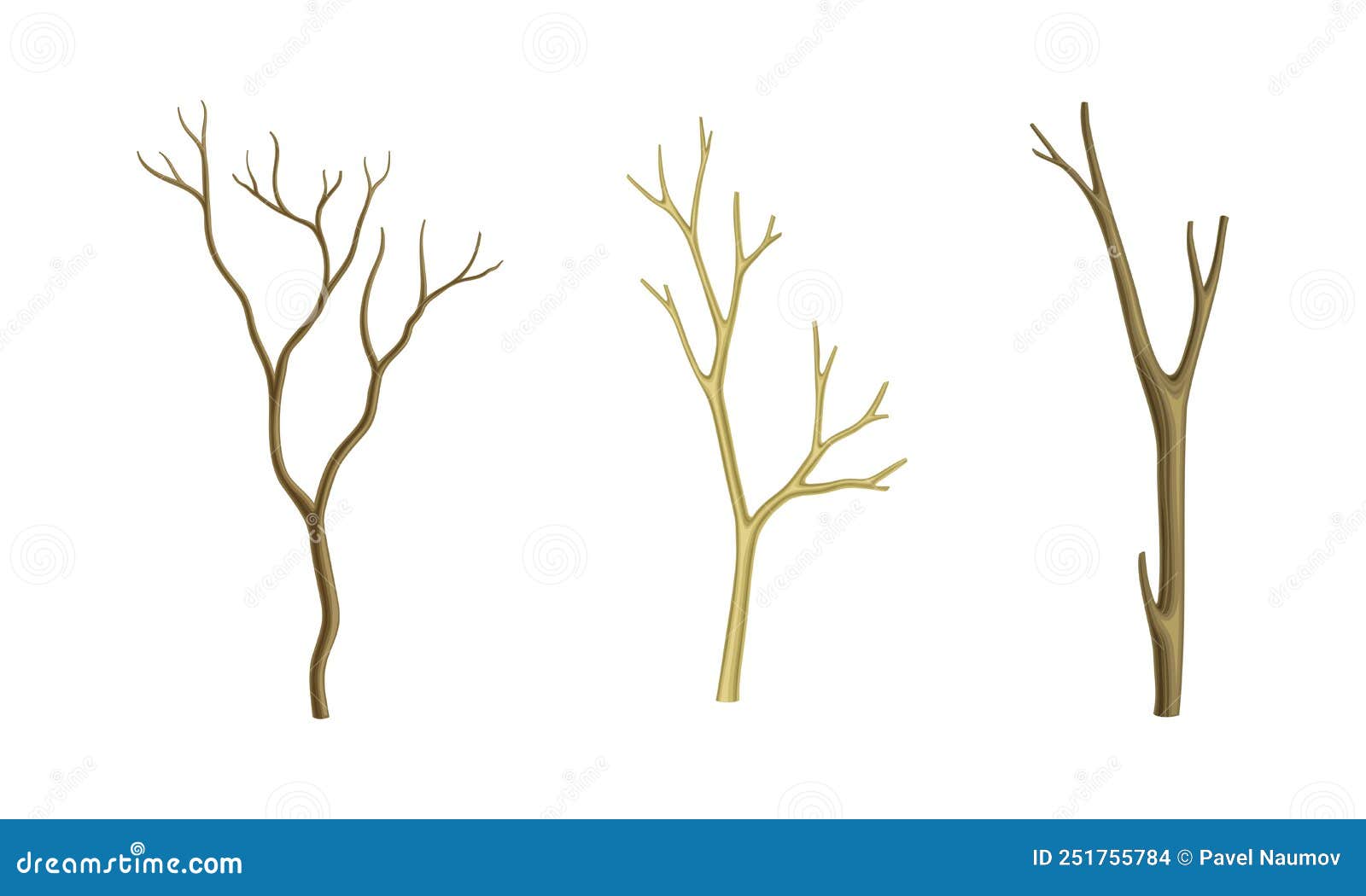 Dry Tree Branches without Leaves Set Vector Illustration Stock Vector ...
