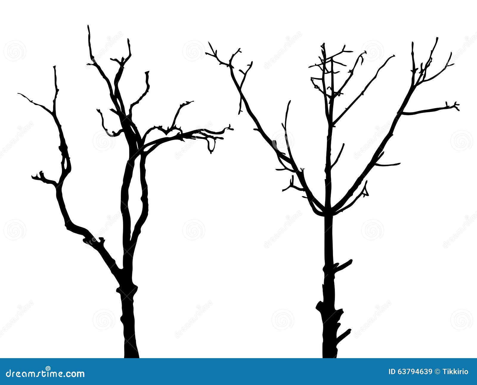 Dry tree isolated vector stock vector. Illustration of outline - 63794639