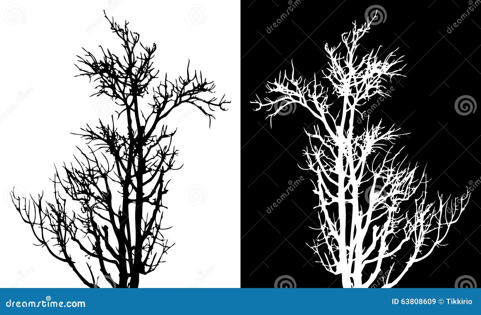 Dry tree isolated vector stock vector. Illustration of figure - 63808609