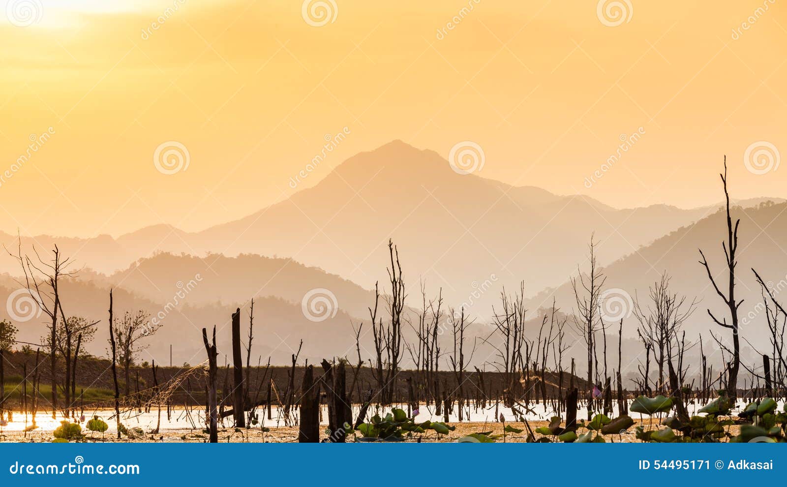 Dry Tree with Lake and Mountain in Sunset Stock Image - Image of dawn ...