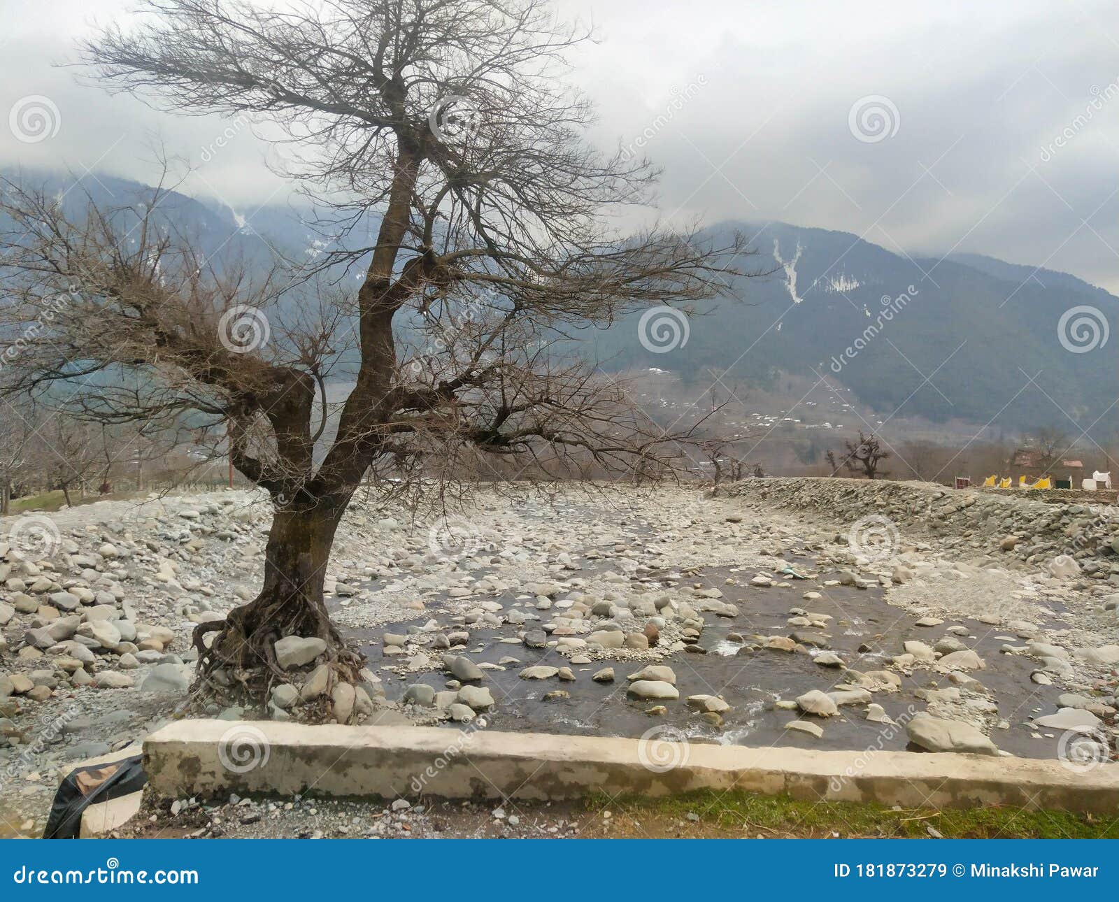 Dry tree with mountains stock image. Image of kashmir - 181873279