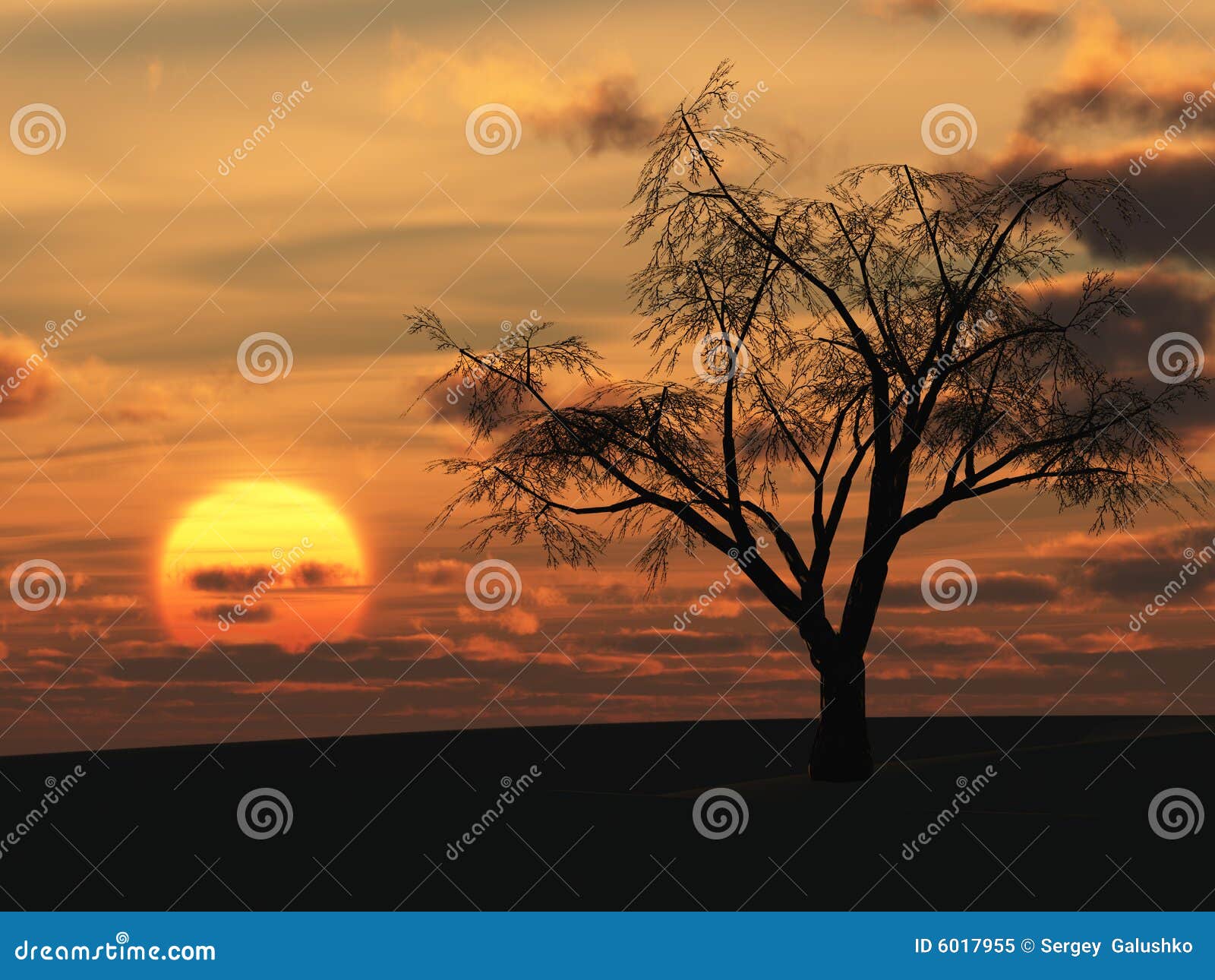 Dry tree and red sunset stock image. Image of field, glowing - 6017955