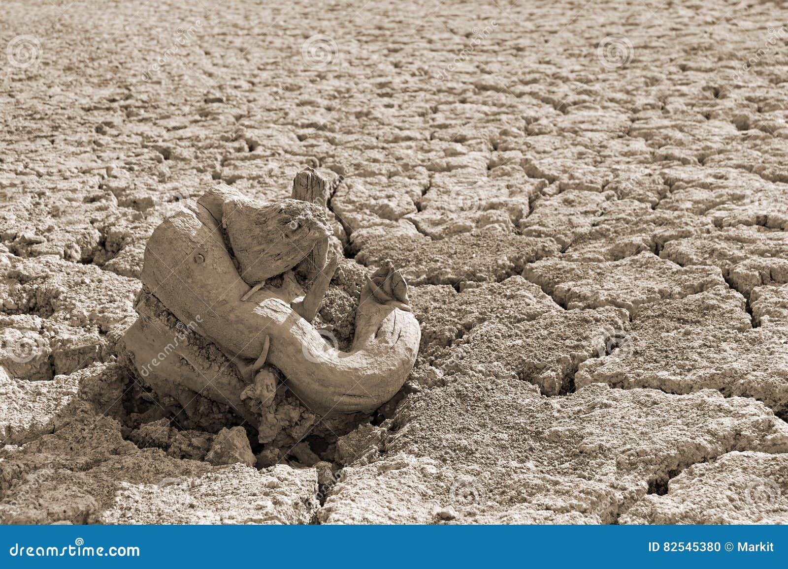Dry Tree Root on the Dried Soil, Sepia Stock Photo - Image of alkali ...