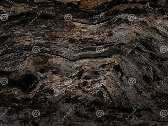 Dry Tree Texture. Tree Bark Background Texture Stock Photo - Image of ...
