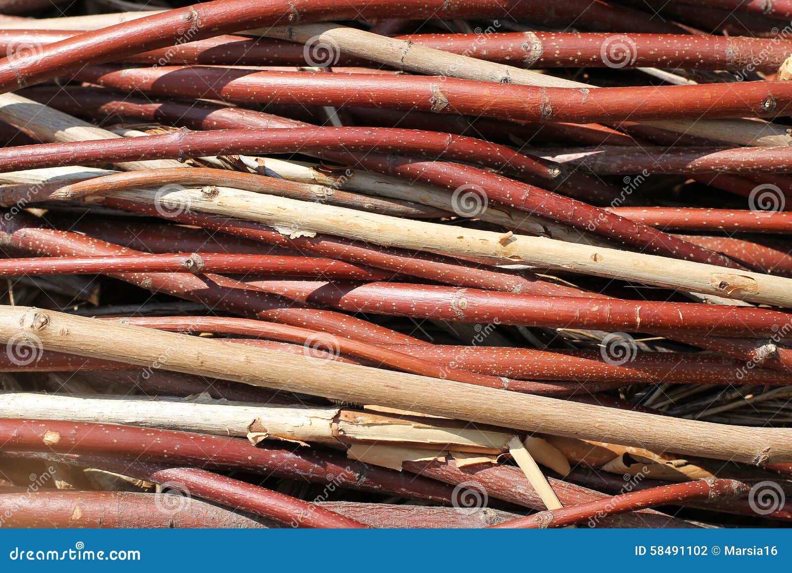 Dry Twigs stock photo. Image of autumn, fuel, nature - 58491102